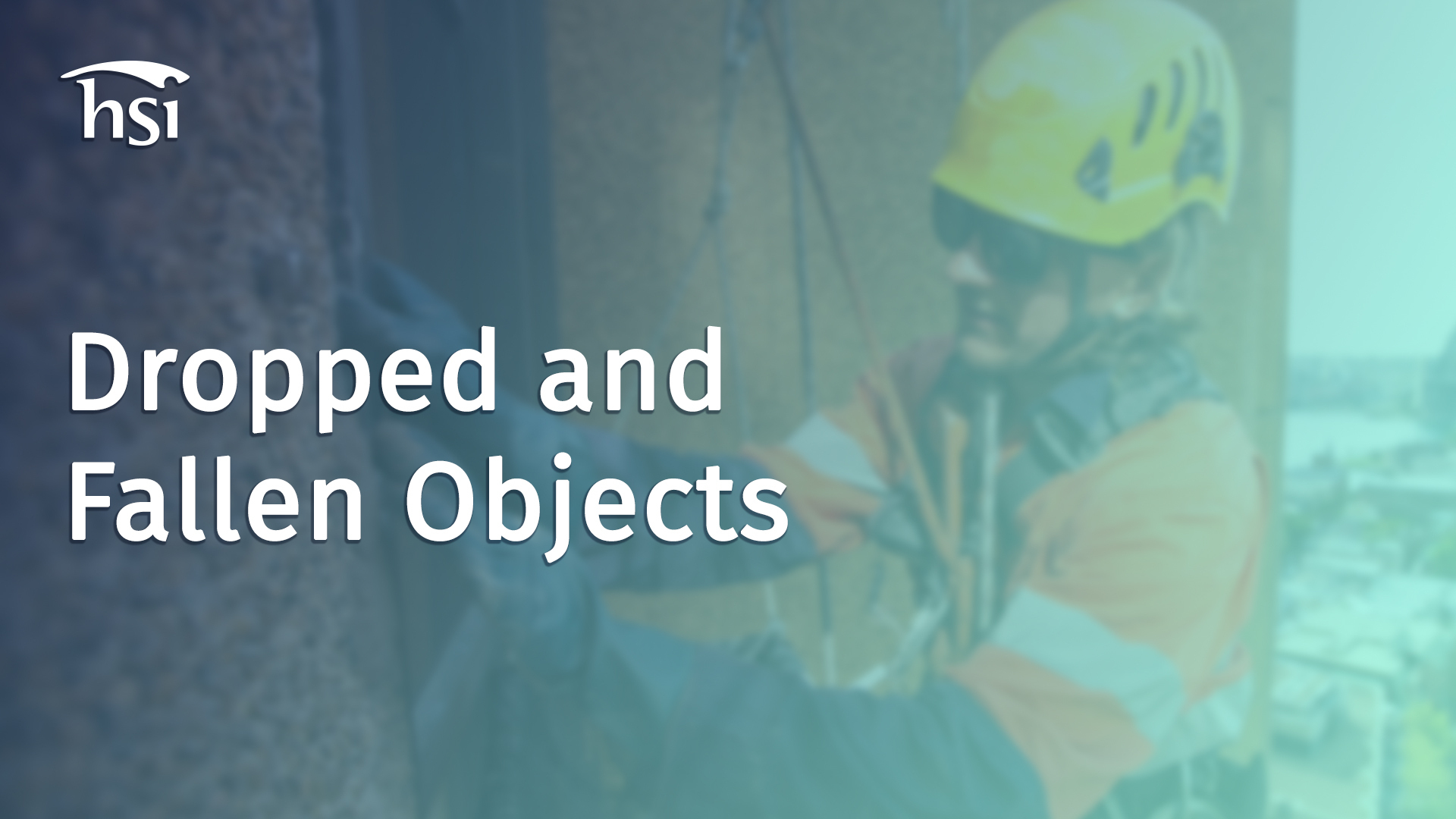 Dropped and Fallen Objects - HSI