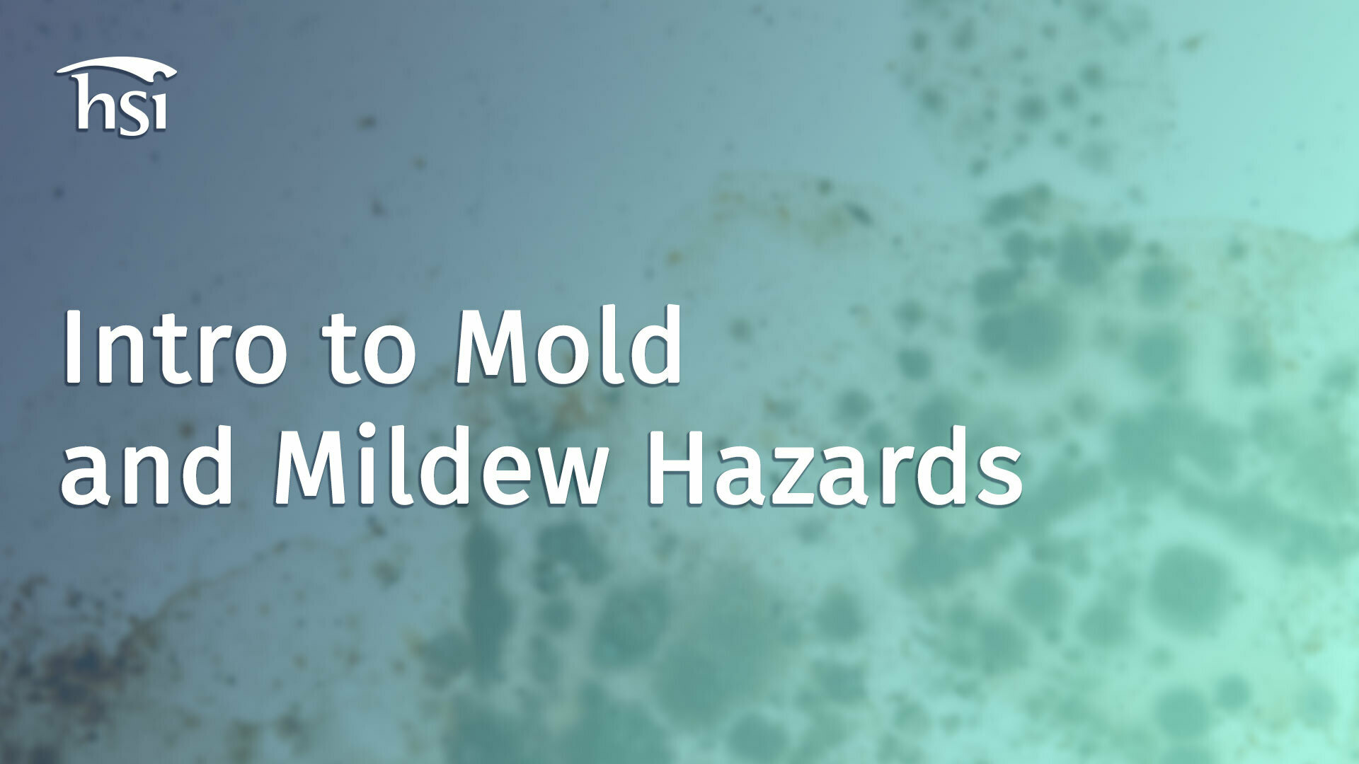 Intro to Mold and Mildew Hazards - HSI