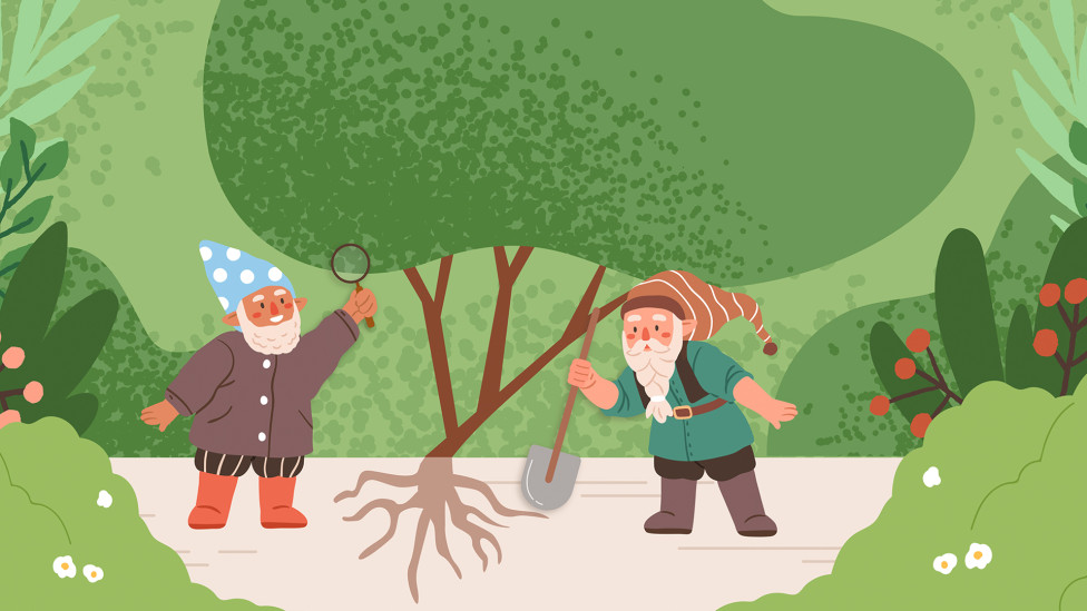 Root Cause Analysis HSI Root Cause Analysis HSI