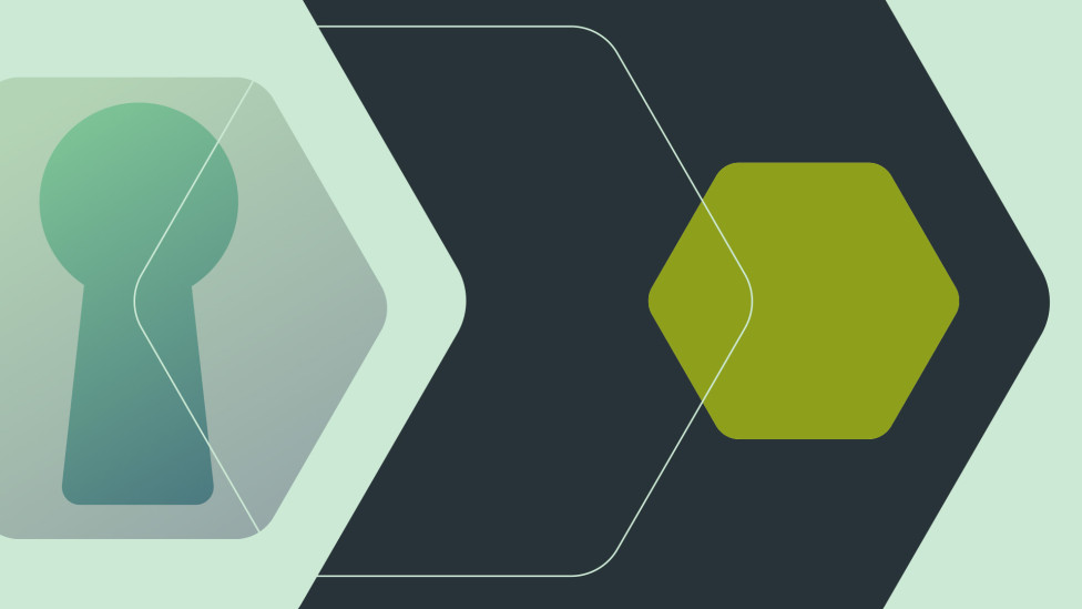 AI Security Concerns - HSI