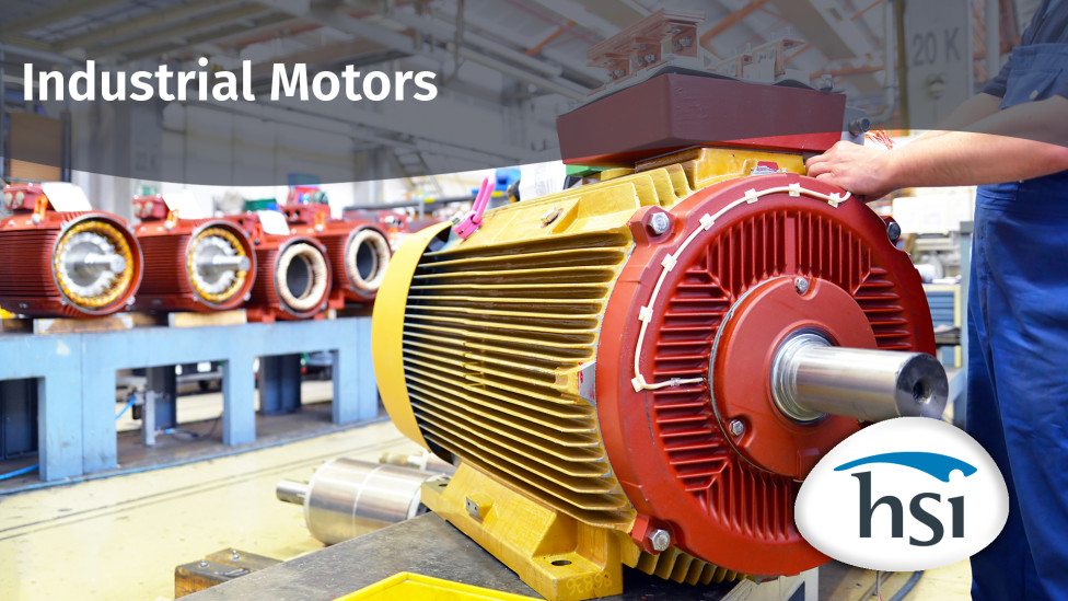 409-05 - AC Induction Motor Maintenance - HSI