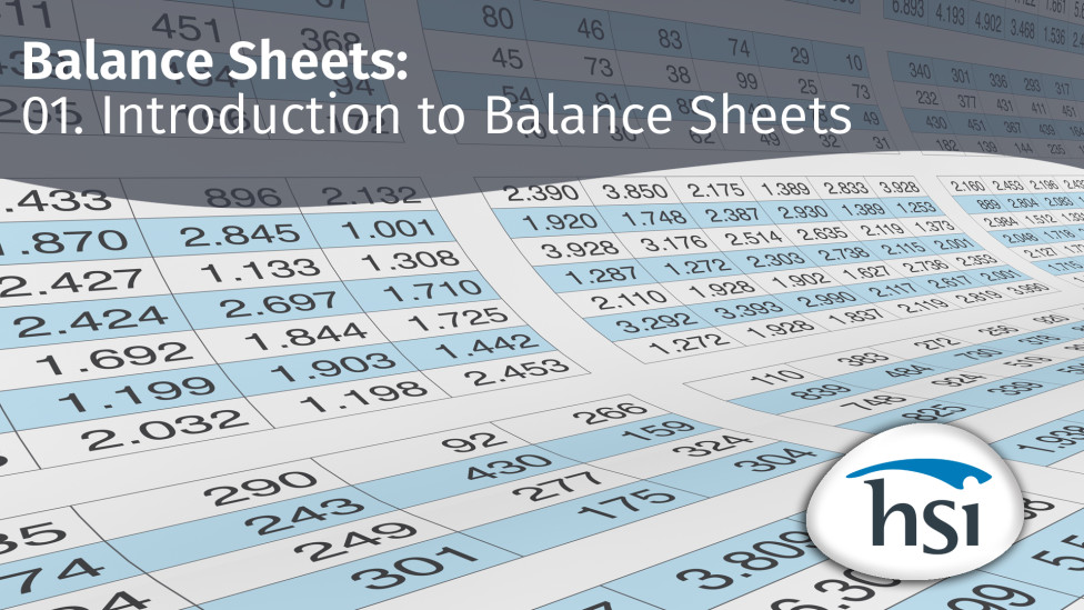 Balance Sheets: 01. Introduction to Balance Sheets - HSI